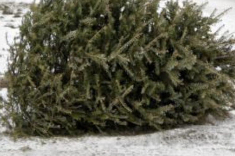 Speedway Announces Holiday Waste Collection Schedule and Christmas