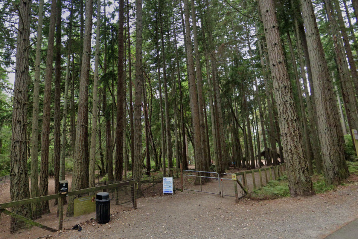 Tacoma Police Conduct Manhunt for Suspect in Sexual Assault Near Point