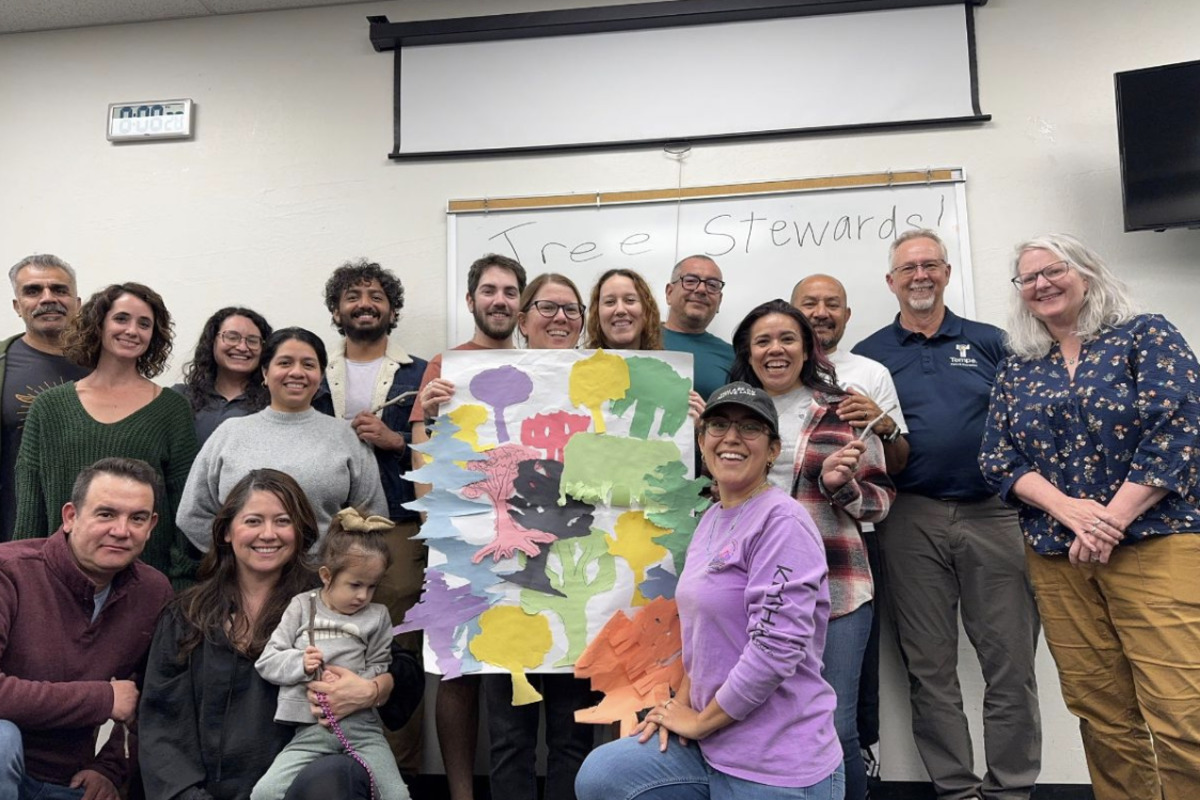 Tempe Launches Inaugural Community Tree Stewards Program to Enhance
