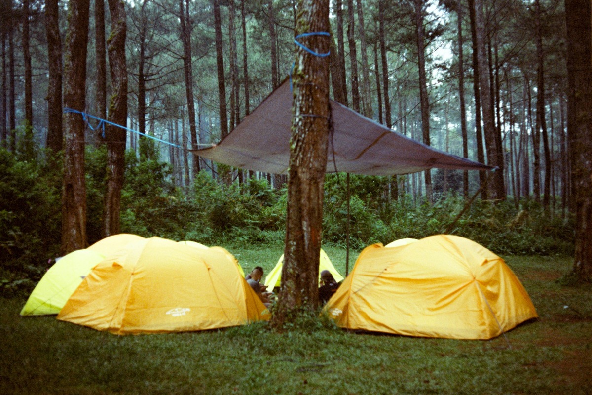 Wright County Campground Reservations, New Changes for 2025 Season