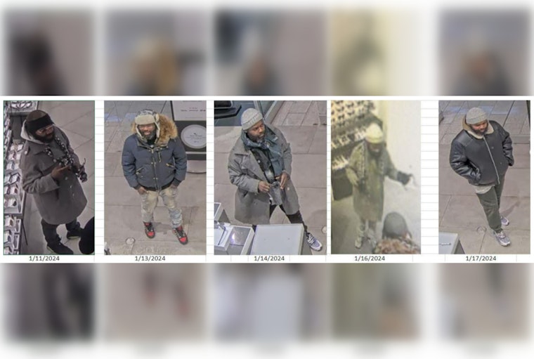 Chicago Shops on High Alert Amid Spree of Bold Retail Thefts