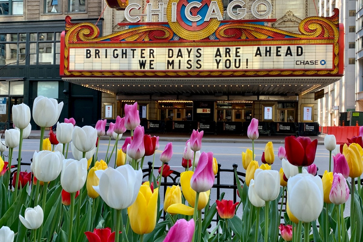 Chicago's Michigan Avenue Tulips Bloom Early After Warmest Winter in