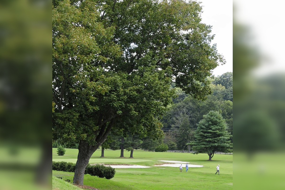Historic Lions Municipal Golf Course in Austin Faces Potential