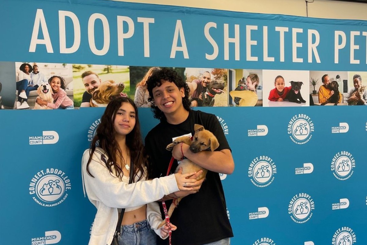 In Search of New Homes, 30 Shelter Dogs from Miami Take Flight to