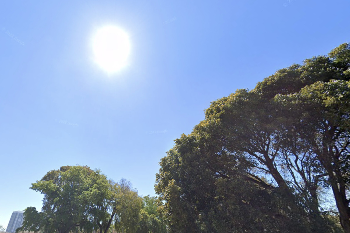 Miami Basks in Pleasant 75-Degree Sunshine with Ideal Beach Weather