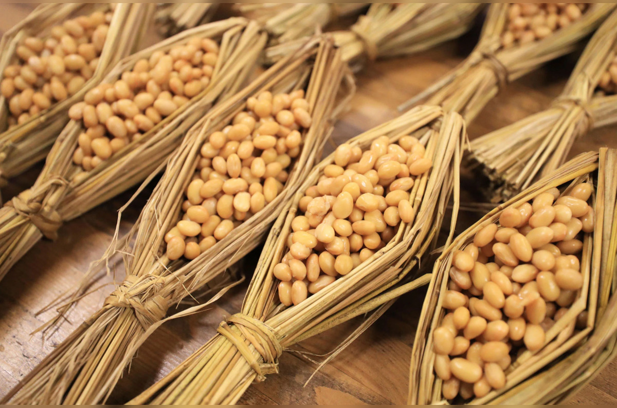 New Study Suggests Fermented Foods Might Have Fueled Prehistoric Brain