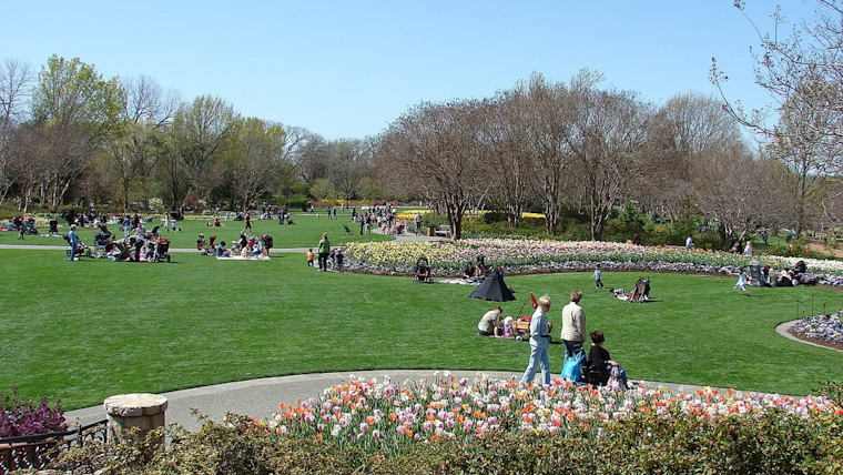 North Texas Awaits Burst of Spring Colors at Dallas Arboretum's Annual