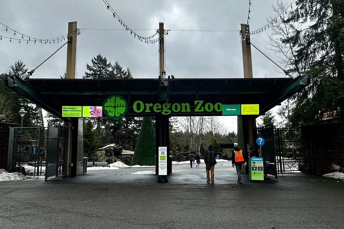 Oregon Zoo Offers Special $12 Admission Rate for a Limited Time to