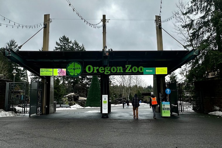 Oregon Zoo Offers Special $12 Admission Rate for a Limited Time to