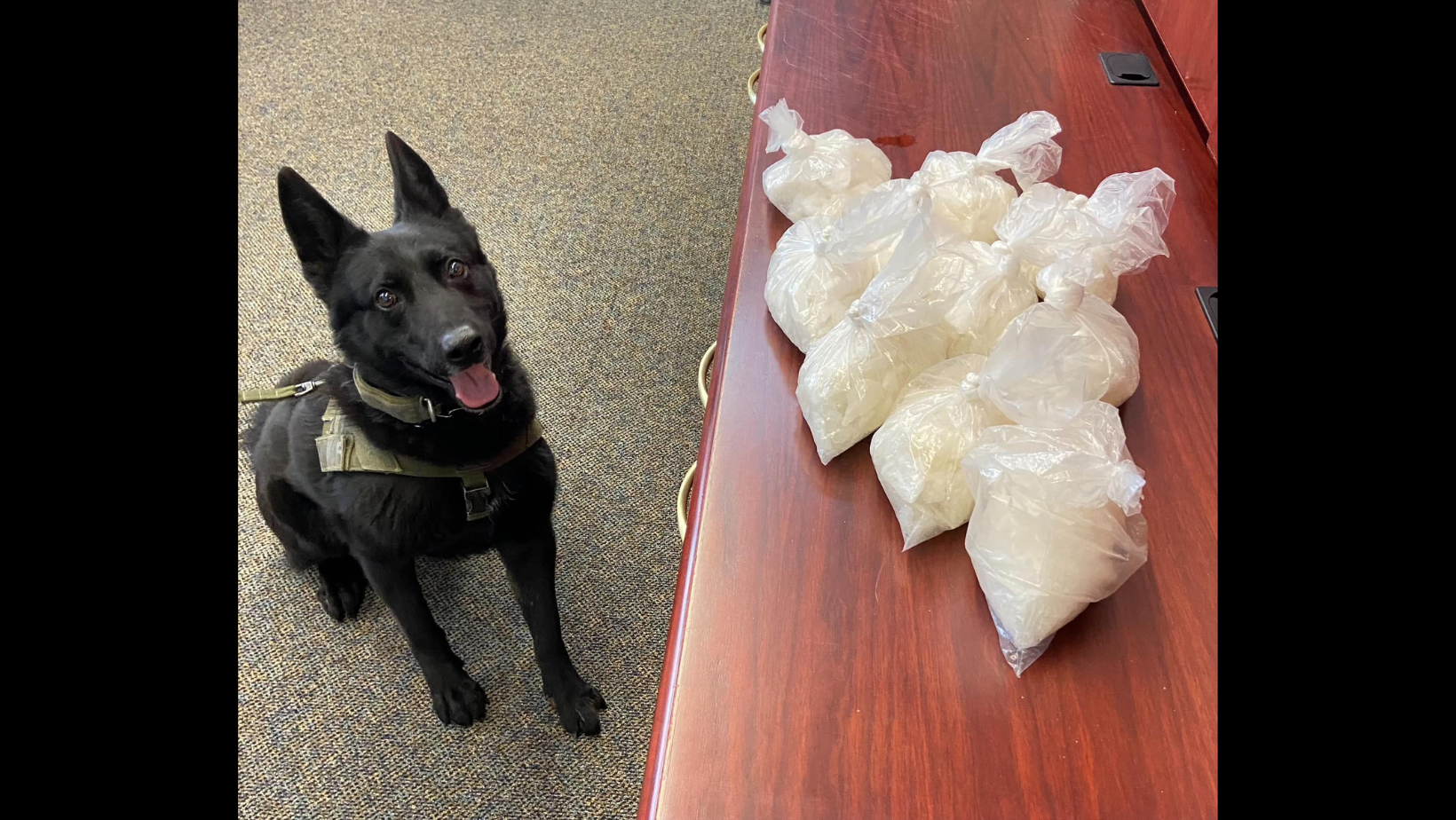 Petaluma Traffic Stop Reveals 10 Pounds of Meth Hidden in Dog Treat