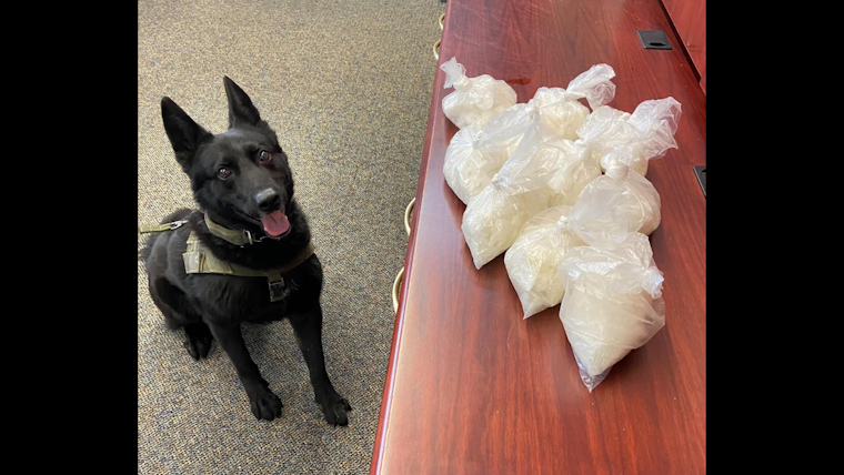 Petaluma Traffic Stop Reveals 10 Pounds of Meth Hidden in Dog Treat