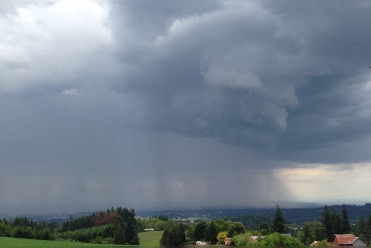 Portland Embraces Drizzly Day as Rain Gear Becomes Essential for