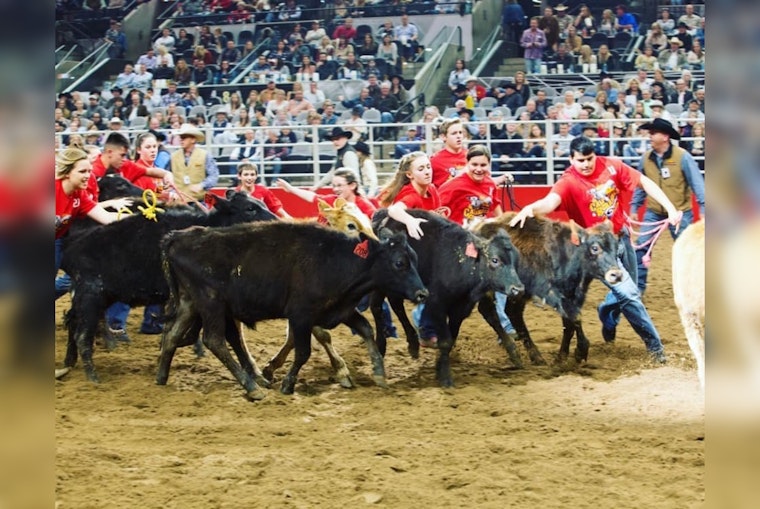 San Antonio Rodeo's Calf Scramble Ignites Competition as Youths Chase