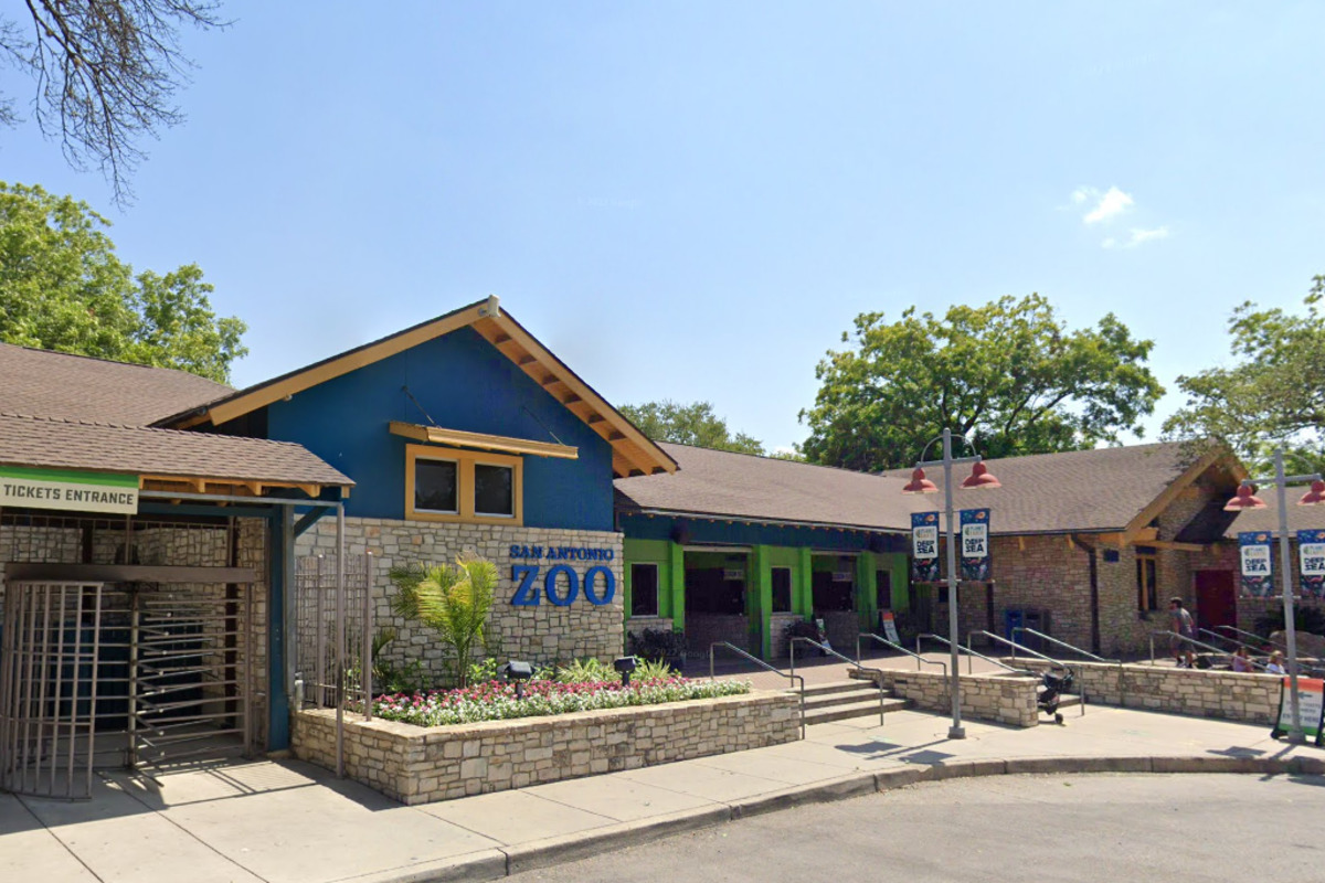 San Antonio Zoo Joins Megan Thee Stallion and Nicki Minaj Feud with