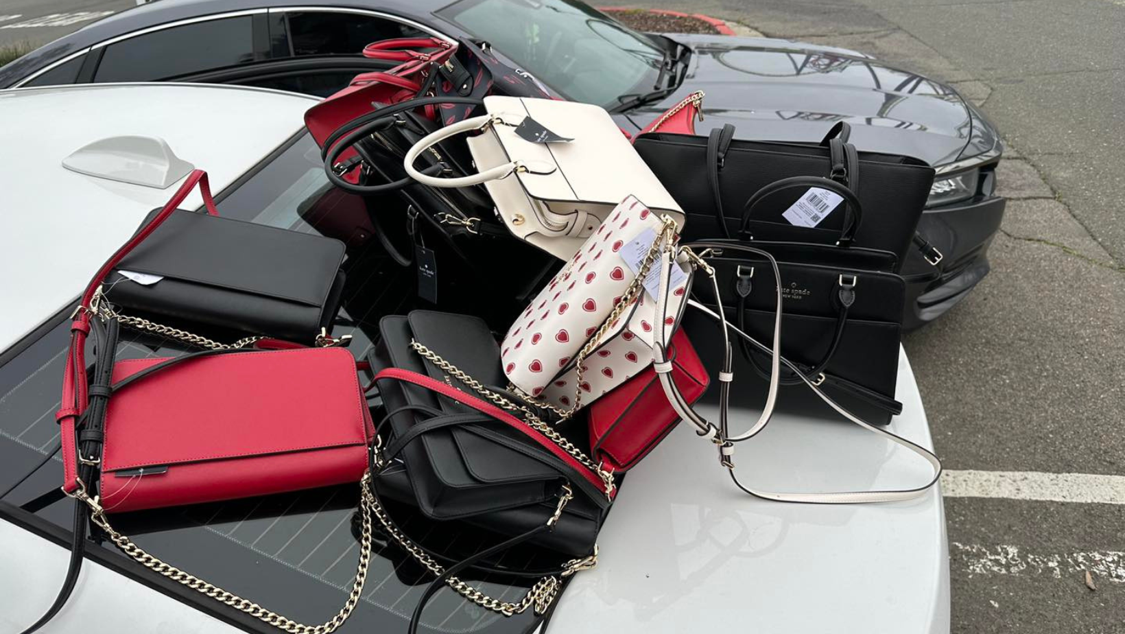 Two Suspects Charged with Theft After Napa Outlet Handbag Heist Leads