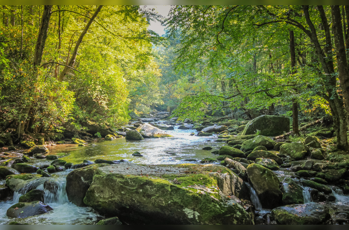 UMass Amherst Whizzes Crack the Carbon Code, Hidden CO2 Source May