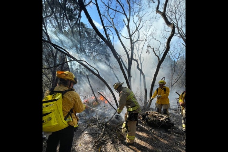 Austin Firefighters Extinguish Brush Fire Amidst Challenging