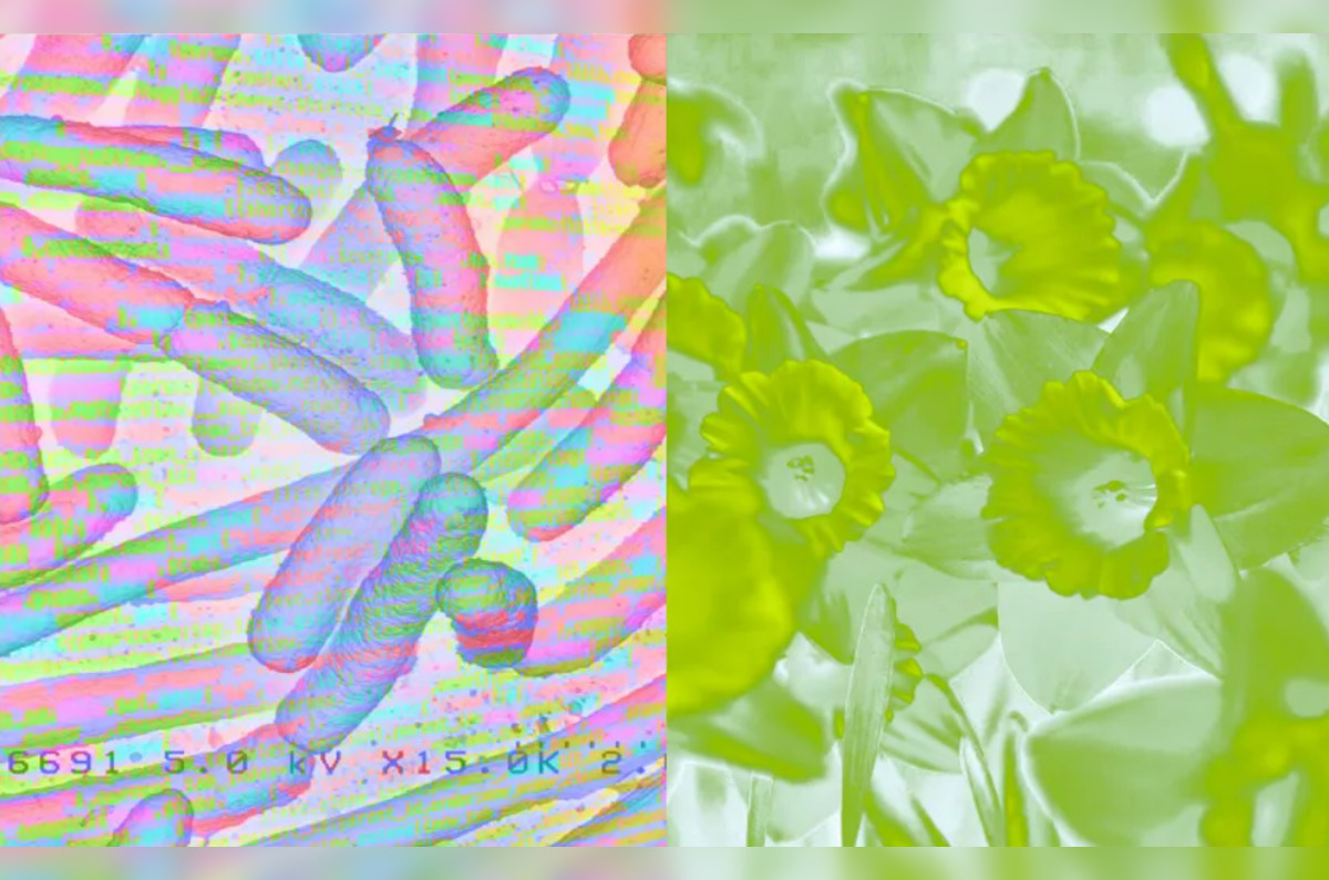 Austin Scientists Ferment Future of Alzheimer's Drug with High-Tech