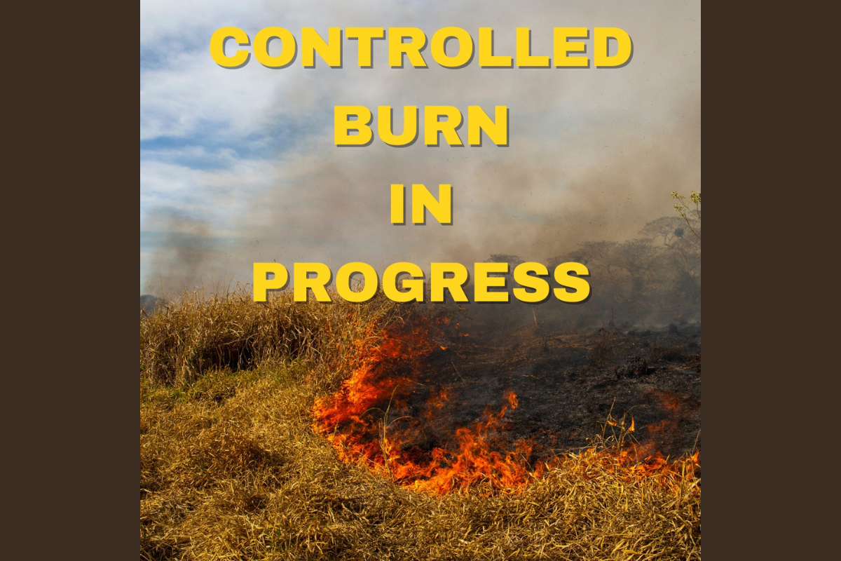 Controlled Burn Underway at Tayman Water Treatment Plant in
