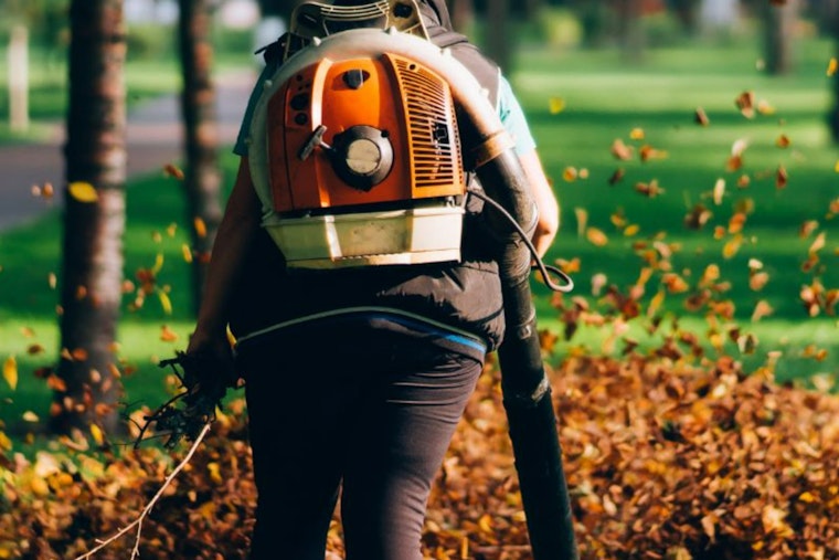 Glendale Implements Gas-Powered Leaf Blower Ban in Eco-Friendly Push