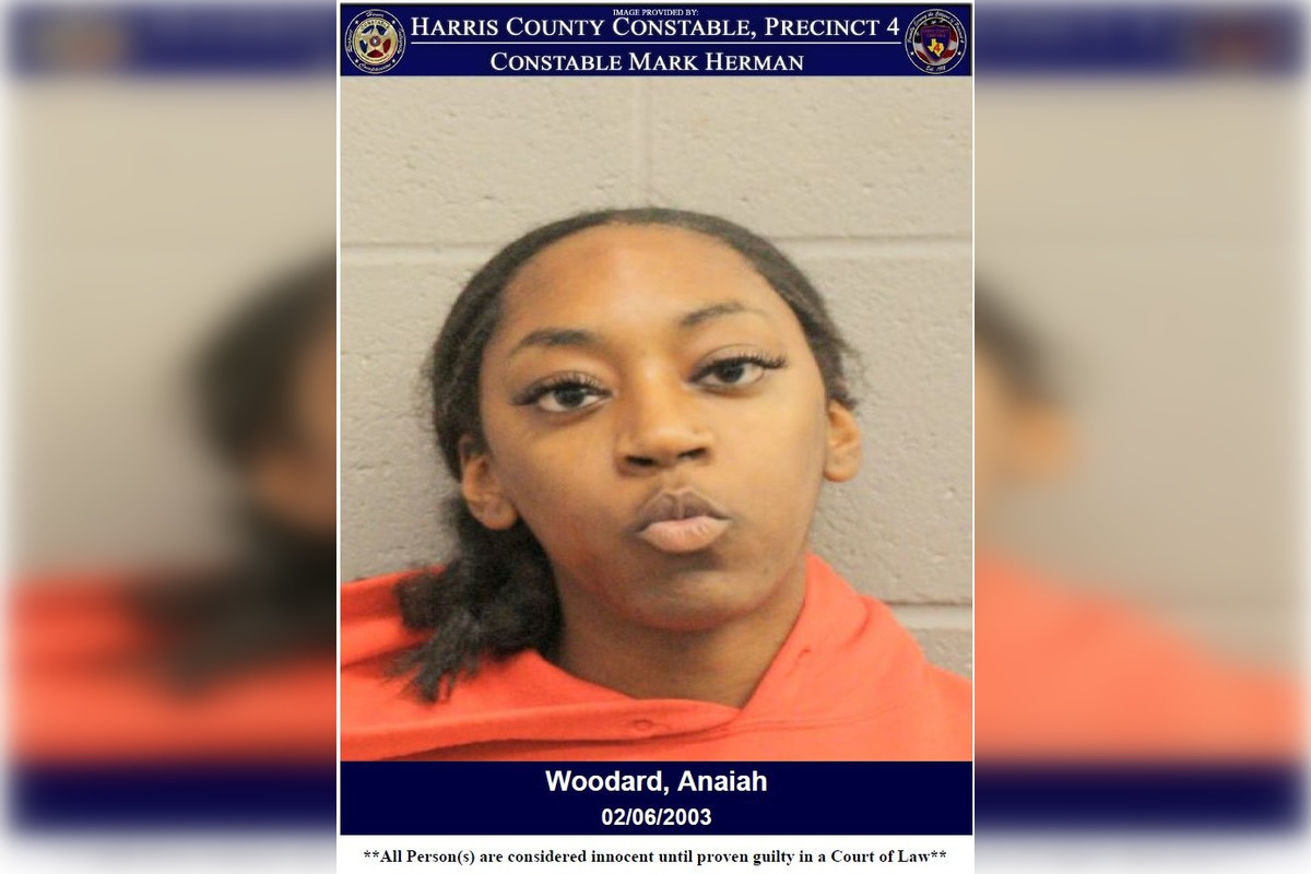 Houston Area Driver Charged With Assault On Peace Officer Following 0985