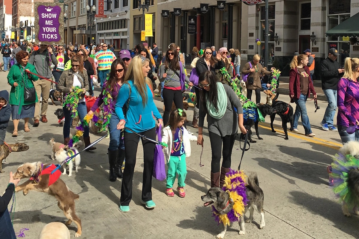 Knoxville Celebrates Mardi Growl with Festive Pet Parade and Aims to