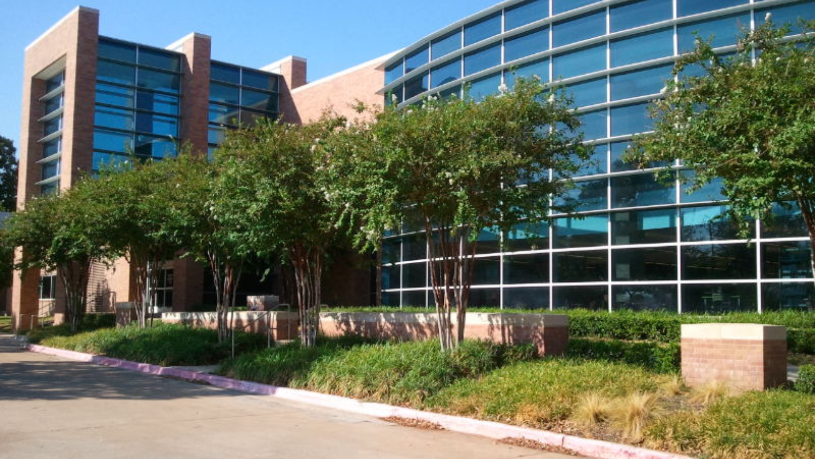 Lewisville Public Library Honored With 2023 Texas Library Excellence