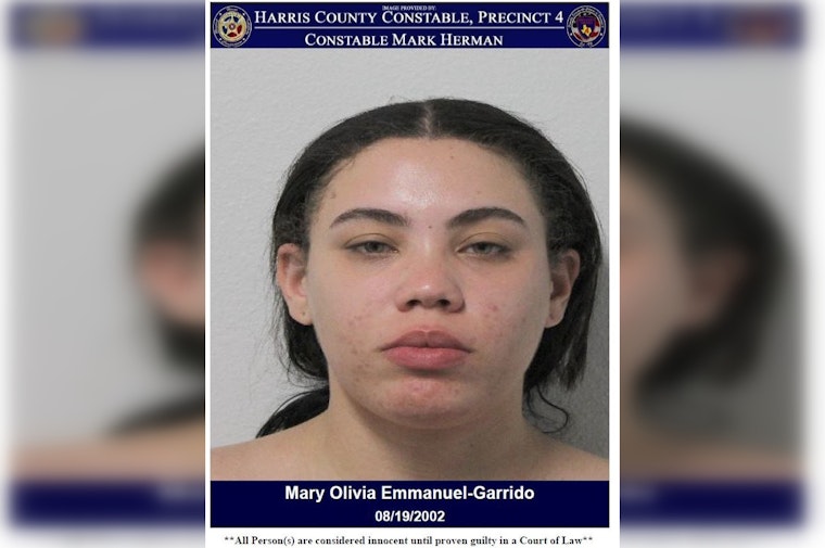 Mary Emmanuel Apprehended in Harris County on Felony Credit Card Abuse