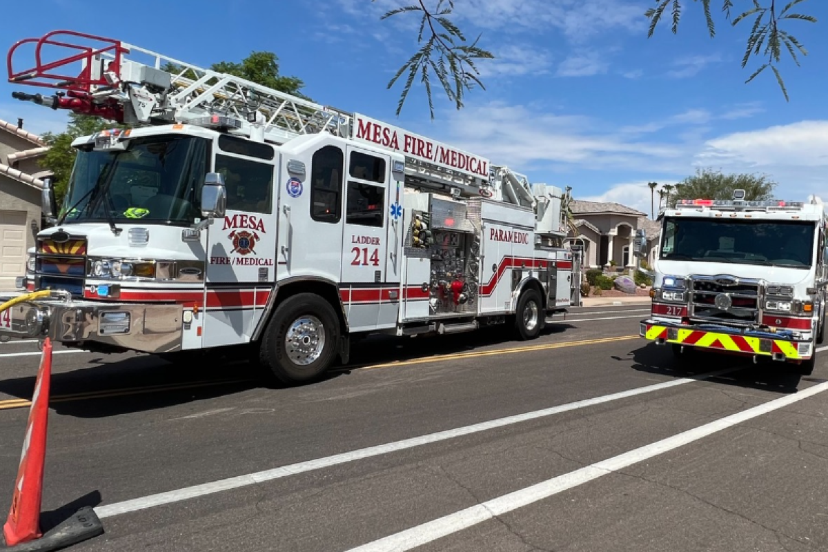Mesa Firefighters Heroically Rescue Dogs from Separate Blazes, Homes