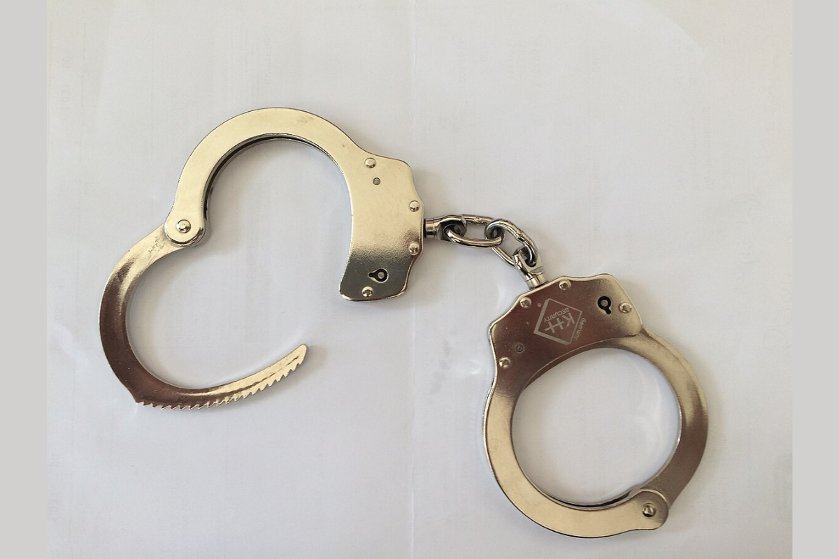 Michigan Attorney Stefanie Lambert Arrested in D.C. Over Dominion