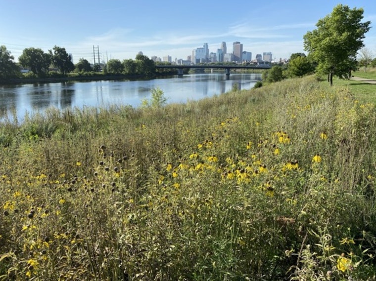 Minneapolis Park Board to Showcase New Trail Bridge Proposals