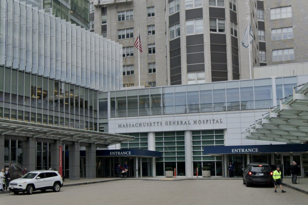 Oink-mazing Feat: Boston Docs Transplant Gene-Edited Pig Kidney Into