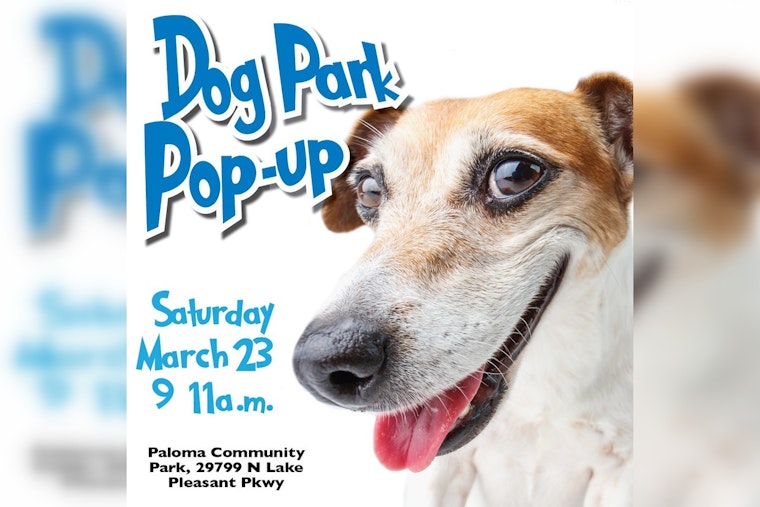 Peoria Park Rangers Host Dog Park Pop-Up at Paloma Community Park for
