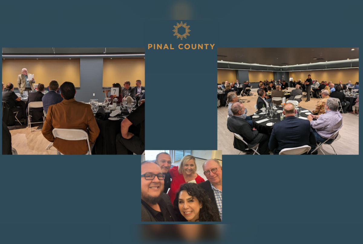 Pinal County Board of Supervisors Review Elections, Forge
