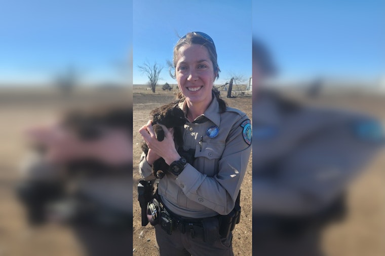 Resilient Felines Amid Texas Tragedy, Game Warden Rescues Kittens from