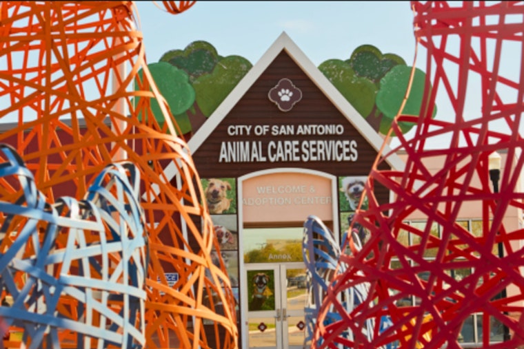 San Antonio Implements Plan to Improve Animal Welfare and Increase Pet
