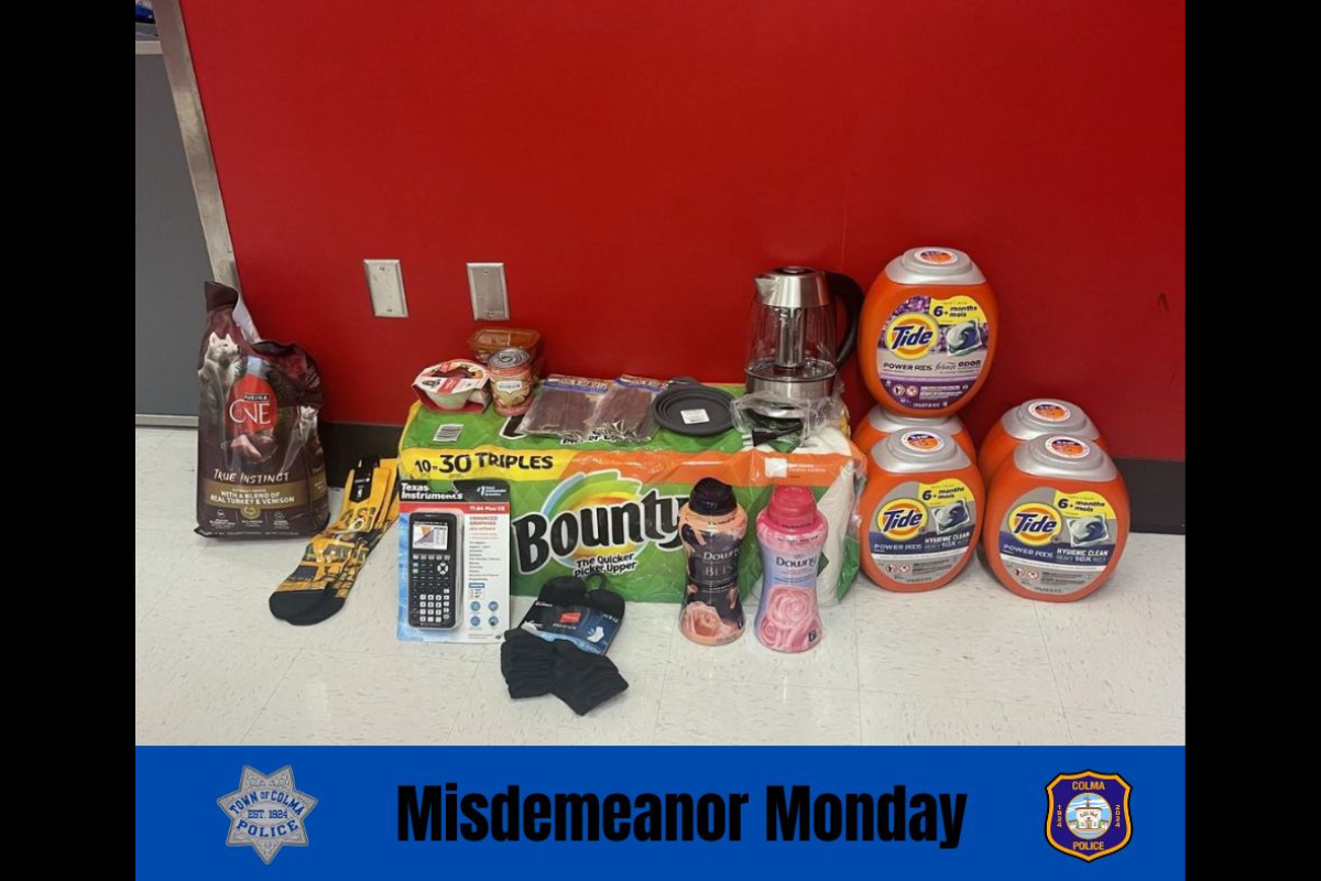 San Francisco Man Jorge Manzo Arrested for Petty Theft and False ID in