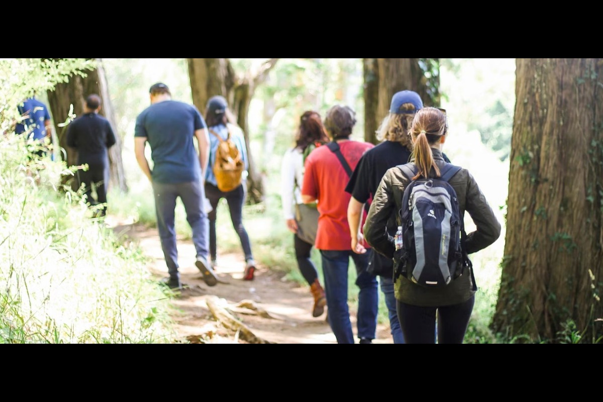 St. Louis Park Middle School Hosts Indoor 'Walk the Park' Event for
