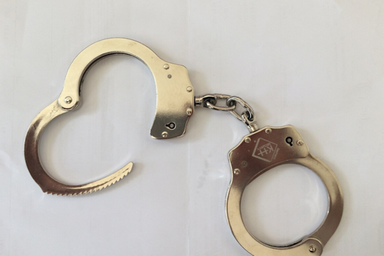 Trump-Backed Michigan Attorney Stefanie Lambert Surrenders on Felony