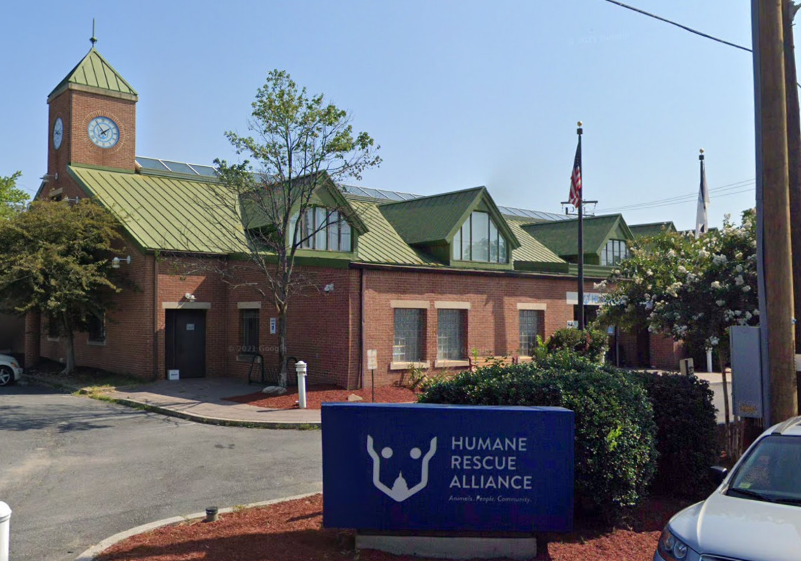 Volunteers Accuse Humane Rescue Alliance of Retaliation Amid Criticism
