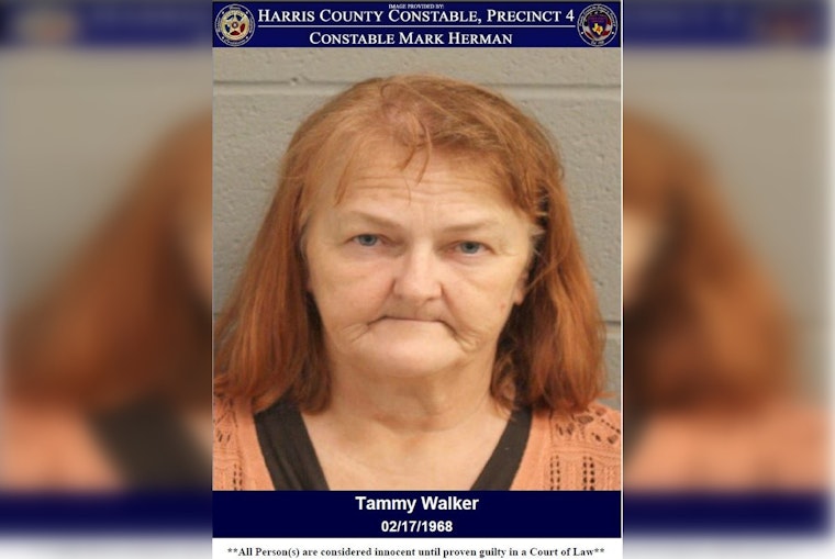 Wanted Thief Apprehended in Texas During Traffic Stop, Faces Felony