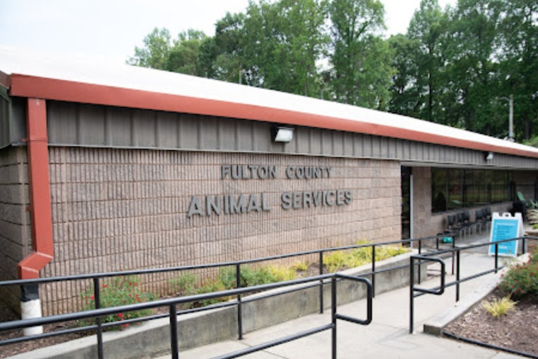 Atlanta and Fulton County at Impasse Over Animal Control Services,