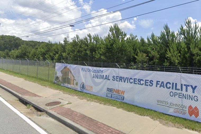 Atlanta Condemns Fulton County for Revoking Animal Services Deal Amid