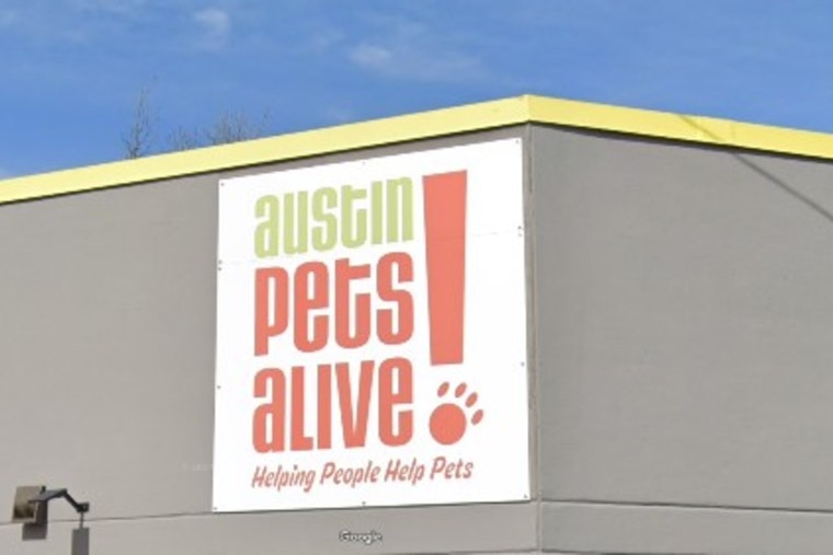 Austin Pets Alive! Employees Rally to Form Nation's Largest Animal