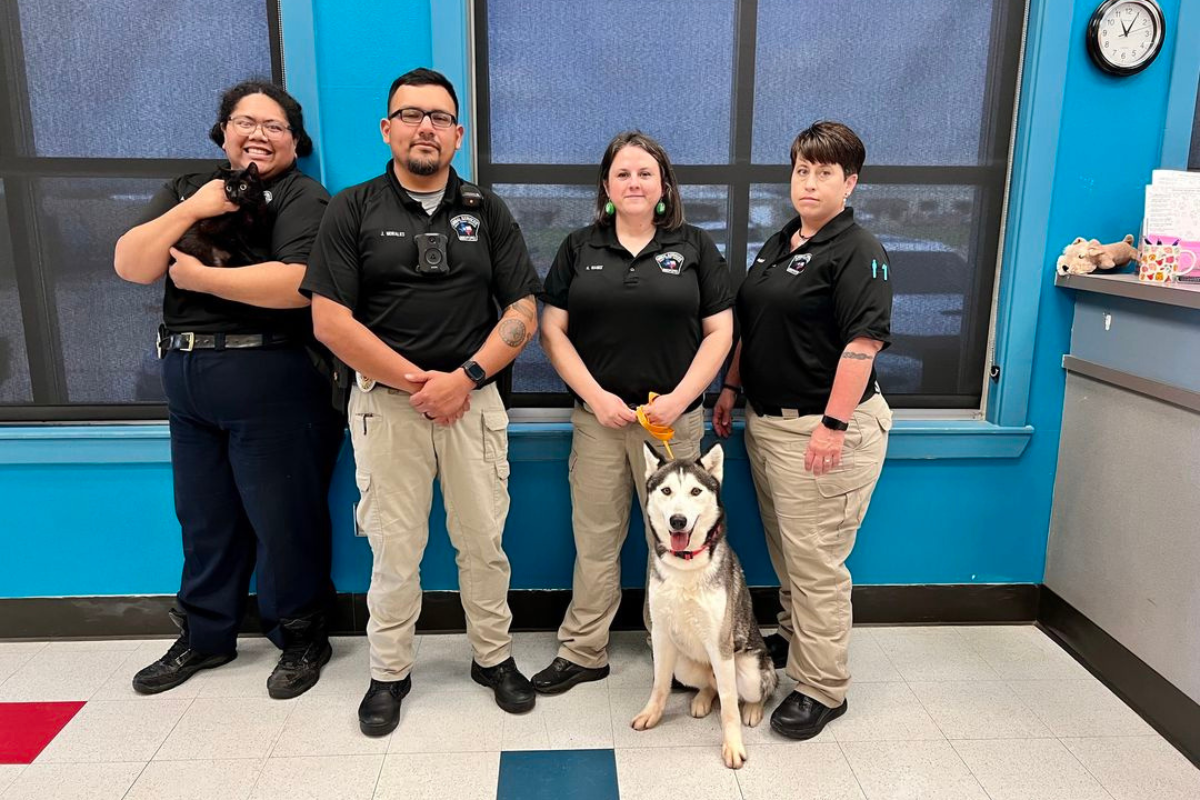 Bedford Celebrates National Animal Control Officer Week with Adoptable