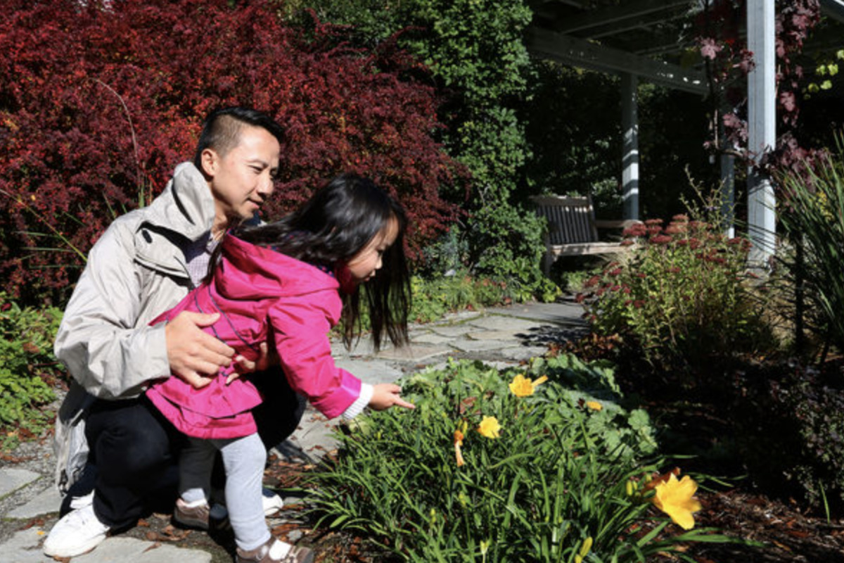 Bellevue Launches Inaugural EarthFest With Green-Themed Activities for