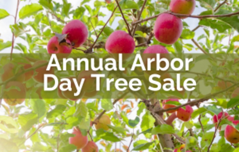 Blaine Arbor Day Tree Sale Aims to Boost Local Environment, Starting