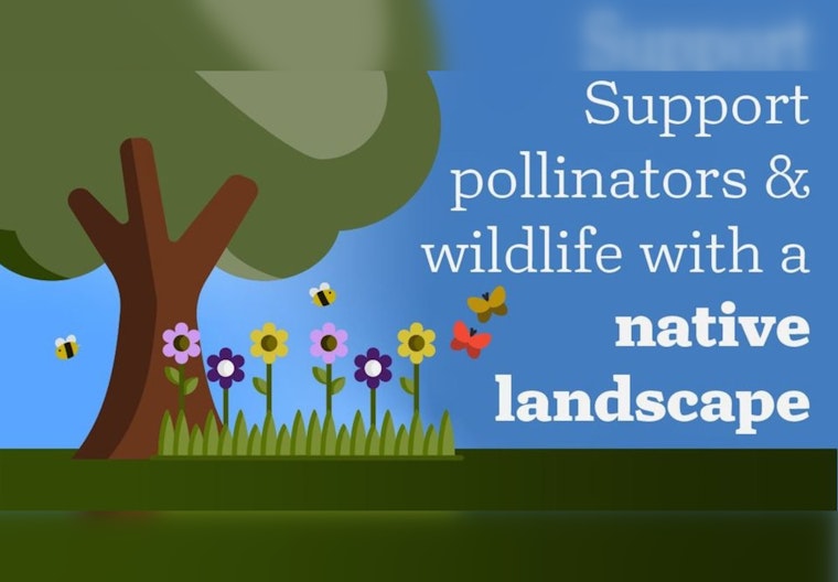 Chanhassen, Minnesota Embraces Native Landscaping, Encourages