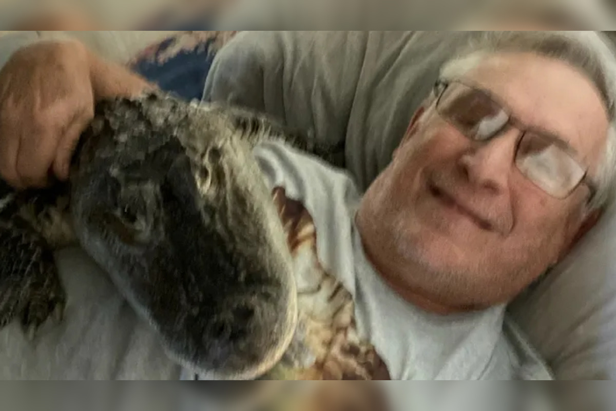 Emotional Support Gator Goes MIA in Georgia, Distraught Pennsylvania