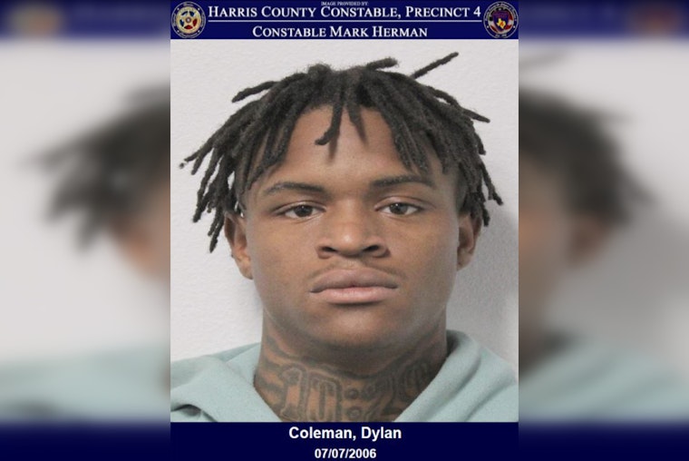 Houston High-Tech System Aids in Swift Arrest of Suspected Car Thief